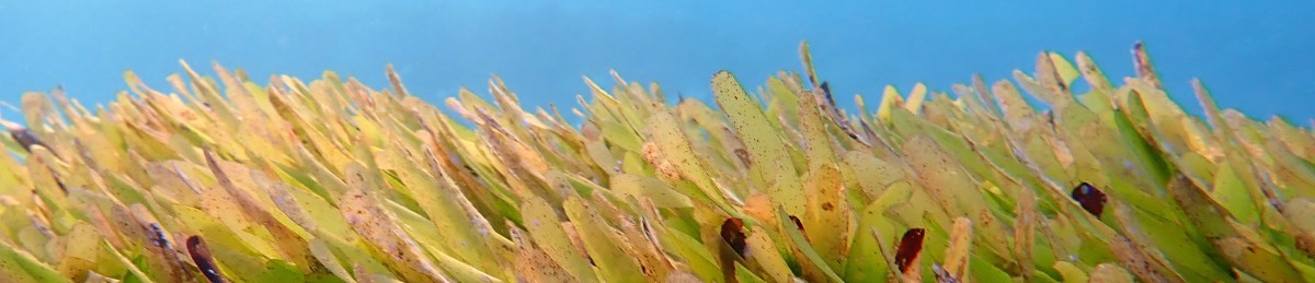 People | Robert J Nowicki